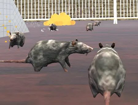 Cheese Chompers 3D - Play Online Cheese Chompers 3D on Crazy Cattle 3D